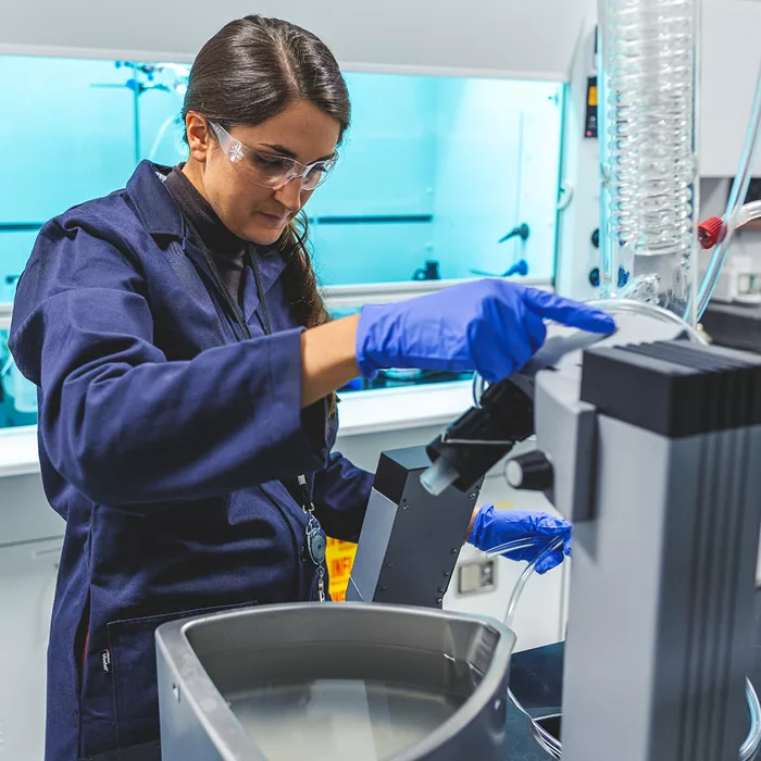 Forge Your Path | Exponent